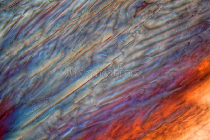 Ice Crystals of Frozen Red Grape Juice Stock Image - Image of detail ...