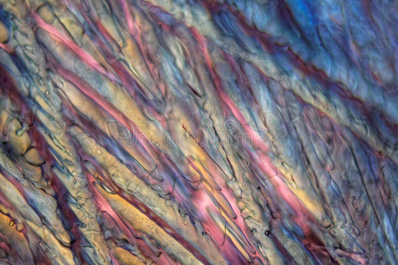 Vegetables Under Microscope Stock Photos - Free & Royalty-Free Stock ...