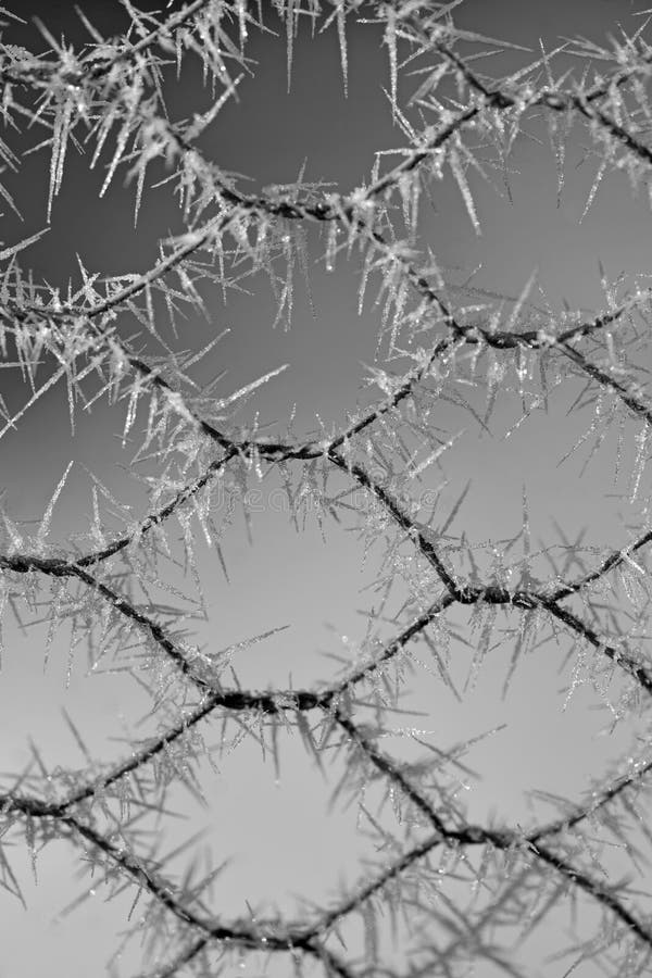 Ice crystals on metal stock image. Image of gray, winter - 26174835