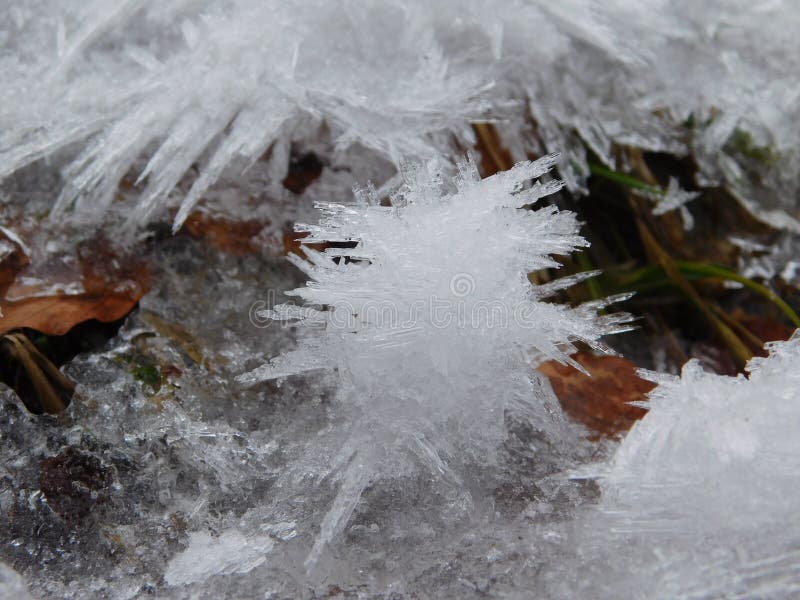 Frozen Water Crystals of Varuíous Shapes in a Bohemian Forest Brook ...