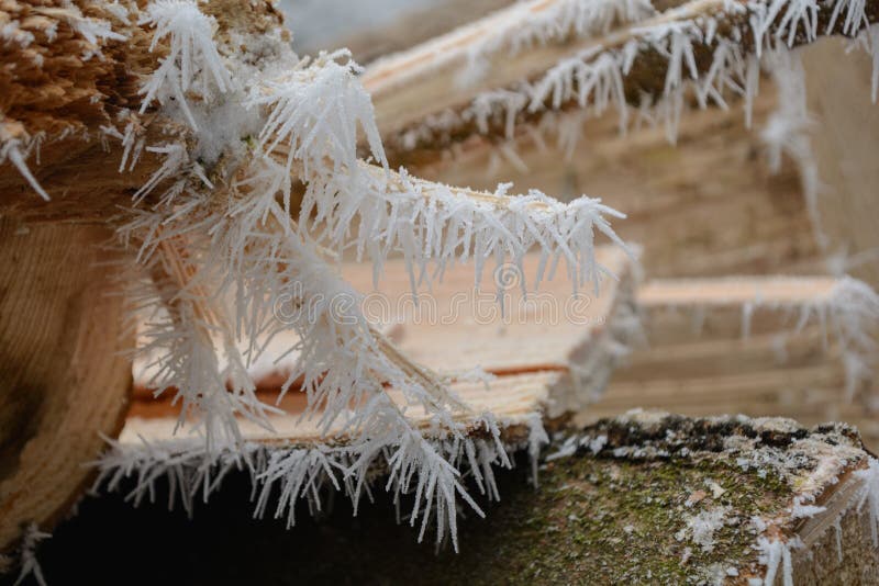 Ice Crystals on the Tree Trunk - Hoarfrost Stock Photo - Image of natur ...
