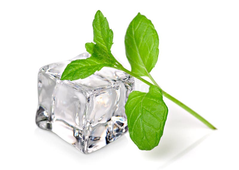 Ice cubes with mint stock image. Image of mint, close - 21677193