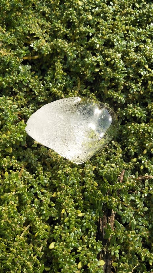 Ice Cube on the Grass Under Hot Sun Stock Photo - Image of drink ...