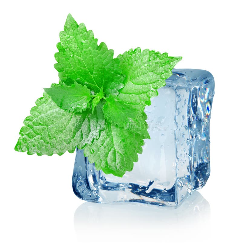 Ice cubes with mint stock image. Image of mint, close - 21677193
