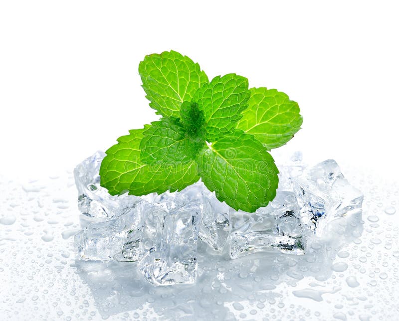 Ice Mint. Frozen Fresh Mint in an Ice Cubes Stock Image - Image of ...