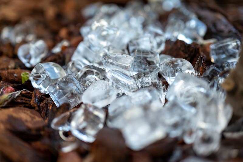 Ice Cubes on the Earth in a Flower Bed Stock Image - Image of ...
