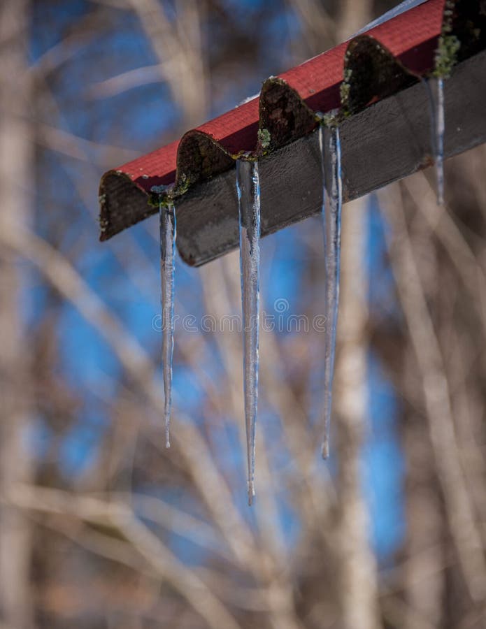 Ice cycles stock photo. Image of background, snow, frame - 18126032