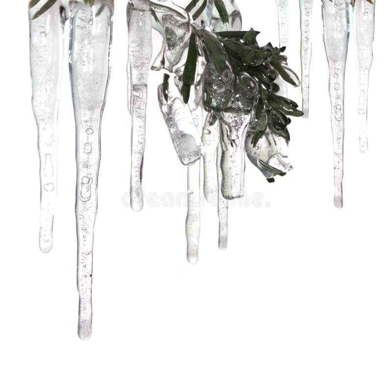 Ice Cycles and Ice Covered Branch Stock Image - Image of freeze, blue ...