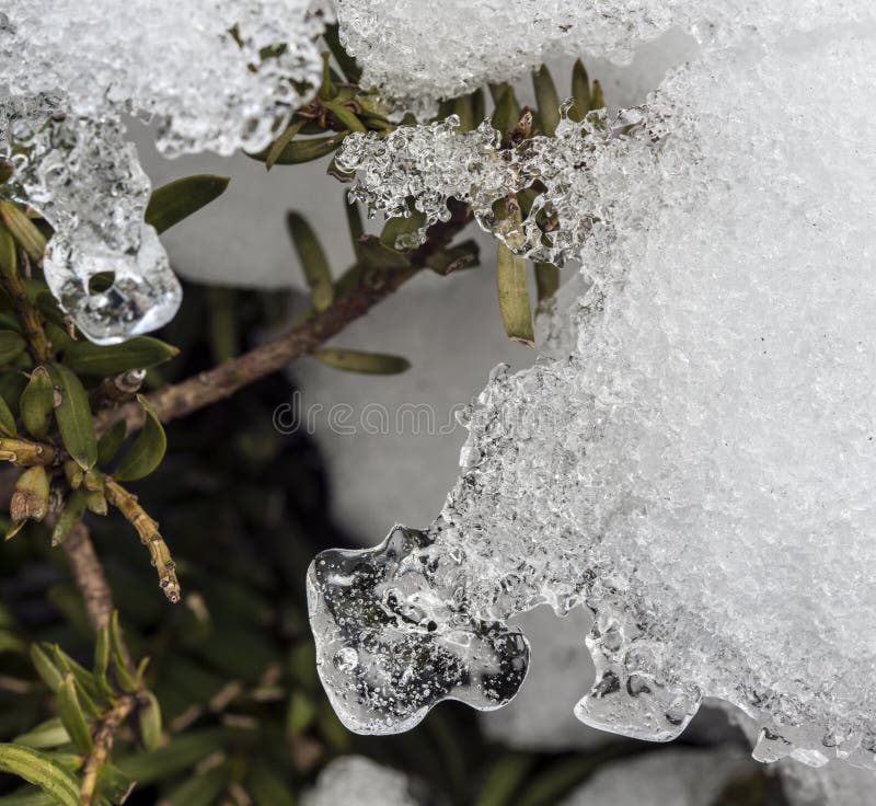 Ice designs stock photo. Image of abstract, twig, design - 38126952