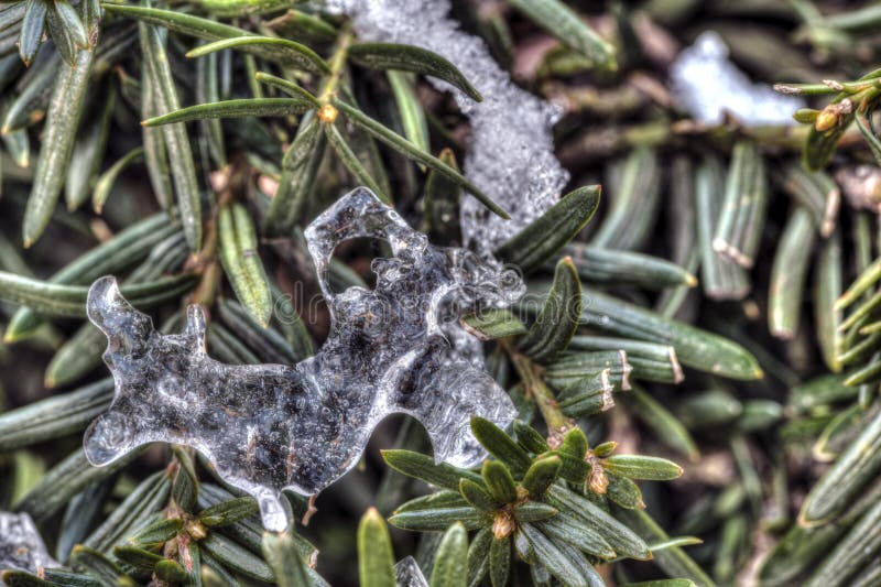 Ice designs stock photo. Image of freeze, green, winter - 38467980