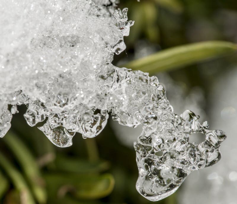 Ice designs stock photo. Image of plant, abstract, water - 38839422