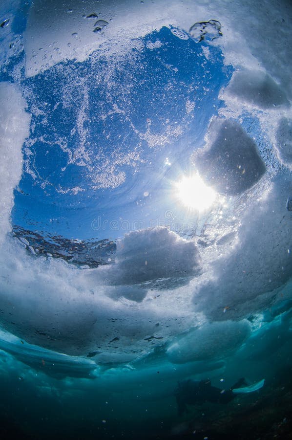 Ice Diving stock image. Image of texture, water, extreme - 73889449