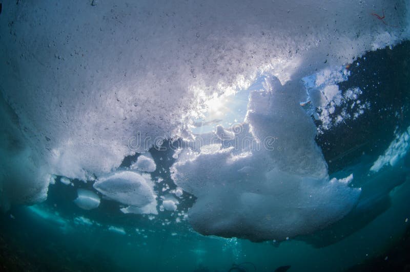 Ice Diving stock image. Image of extreme, natural, environment - 73889459