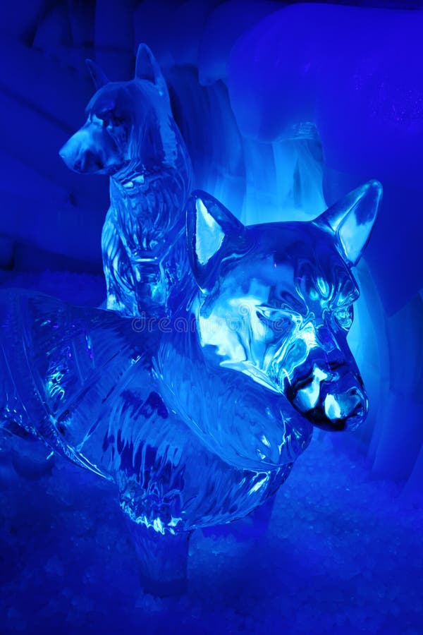 Ice dogs editorial stock image. Image of season, artwork - 83642129