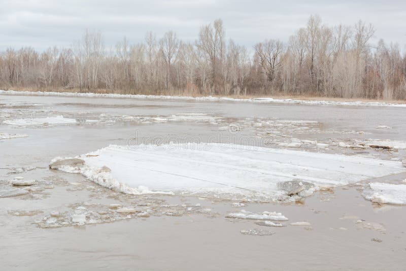 Ice Drift. the Ice Has Started on the River. the Ice is Swimming on the ...