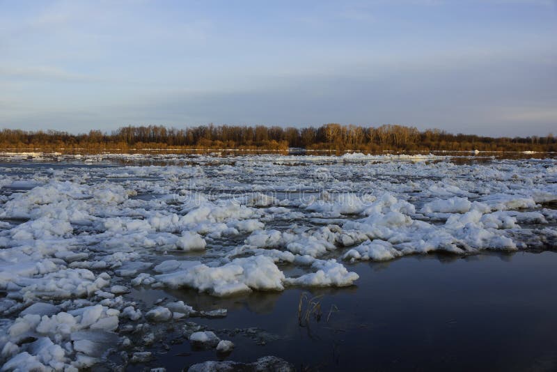 Ice Drift on the River. Sunset. Ice Floes Floating on the Water Stock ...