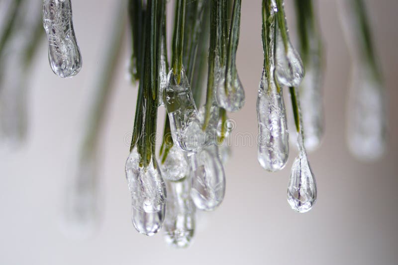 Ice Drops stock image. Image of leaf, chill, cycle, water - 3927065