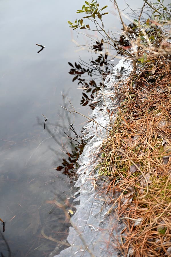 Ice at the Edge of the Lake Stock Image - Image of silver, frozen ...