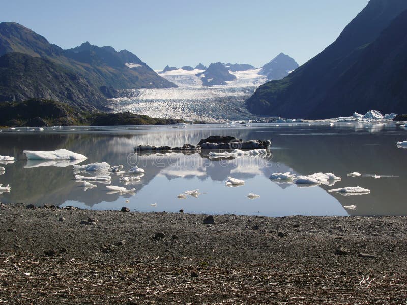 Ice Filled Lake with Glacier Stock Photo - Image of reflection ...