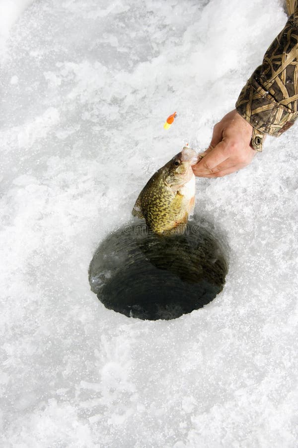 Ice Fishing editorial photo. Image of body, frozen, stool - 49238626