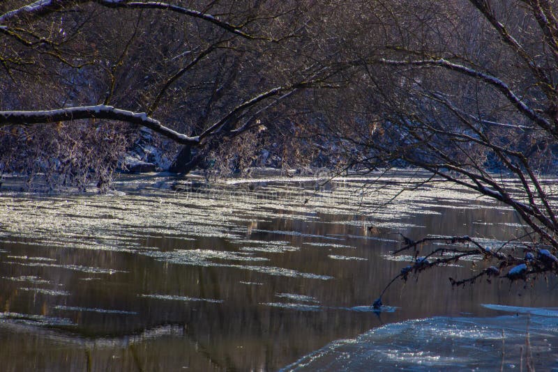 Drifting Down a River in Wakulla Springs State Park Stock Photo - Image ...