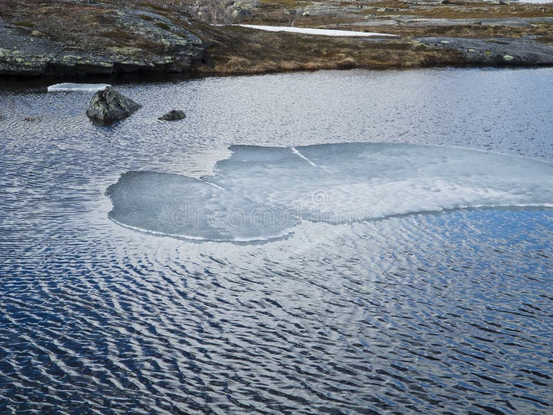 Ice floe on sea stock photo. Image of frozen, rocky, scenery - 19923690