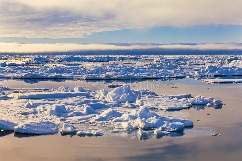 Ice Floes at the Edge of the Arctic Pack Ice Stock Photo - Image of ...