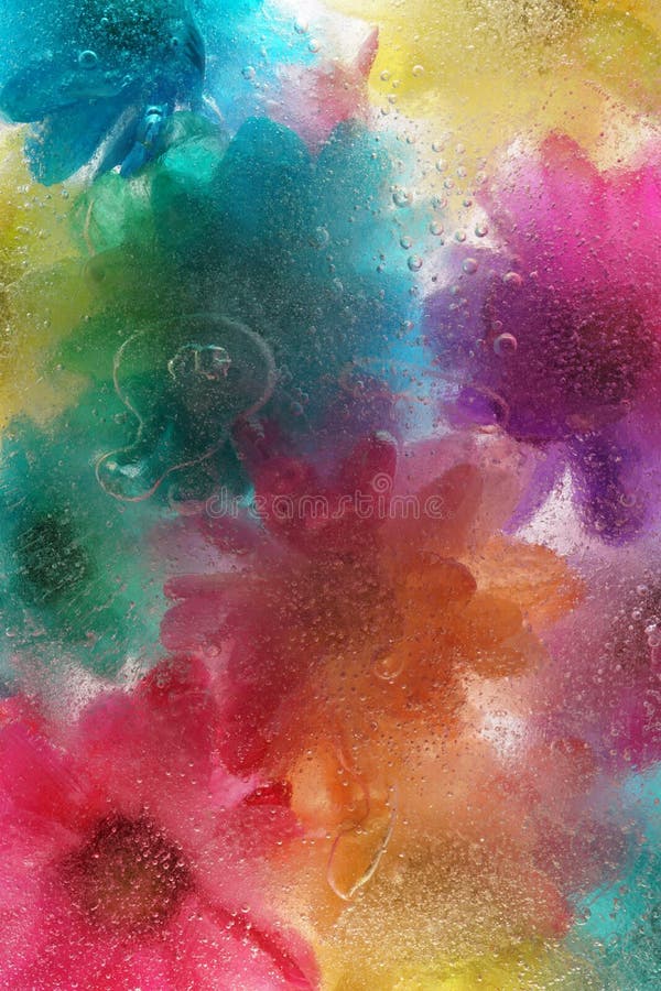 Ice Flowers Frozen Flower Heads Frozen in a Solid Block of Frozen Water ...