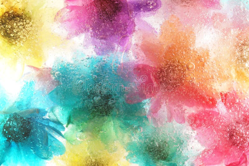 Ice Flowers Frozen Flower Heads Frozen in a Solid Block of Frozen Water ...