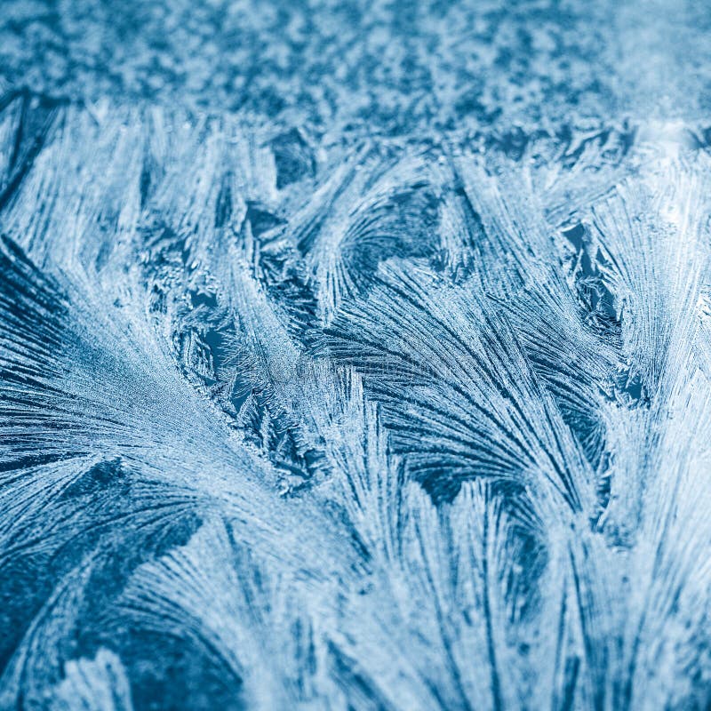 Ice flowers on glass stock photo. Image of flake, climate - 80506026