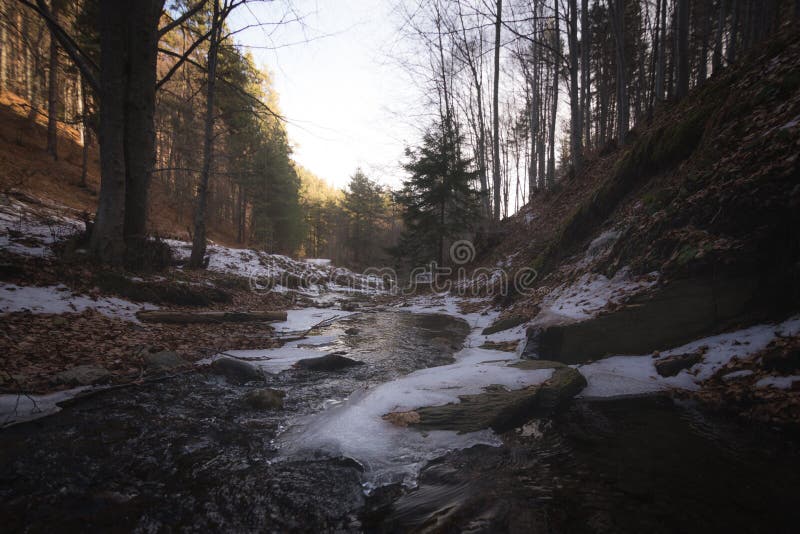 Ice On Forest Path Picture. Image: 109923255