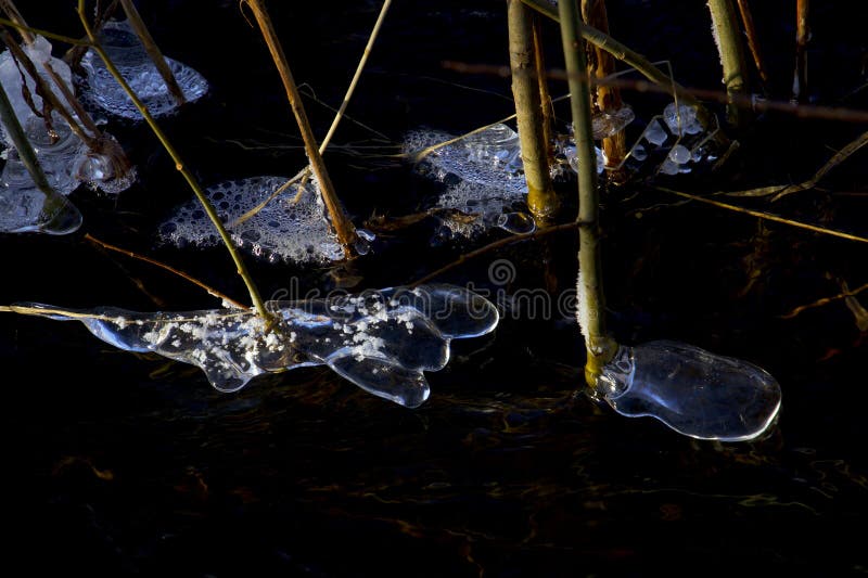 Ice Formation that Looks Like Footprints in the Water Stock Photo ...