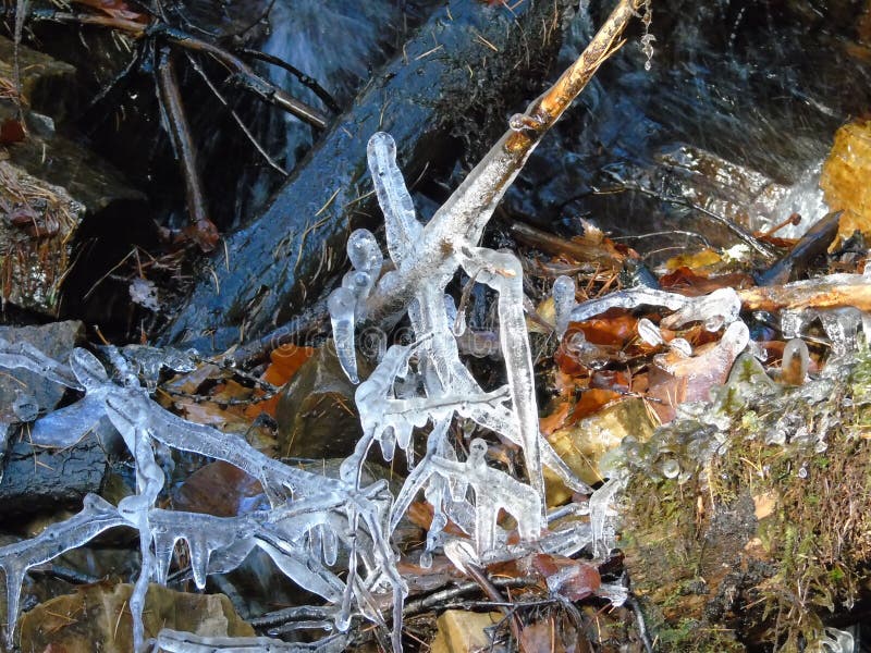 Ice Forms on the Roots Showing through the Riverbank Stock Image ...