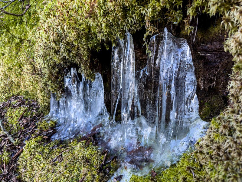 Ice Freezes while Dripping Down Mossy Cliff Stock Photo - Image of ...