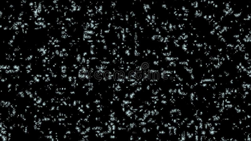 Ice Freezing Animation of the Screen on Black Background Stock Footage ...