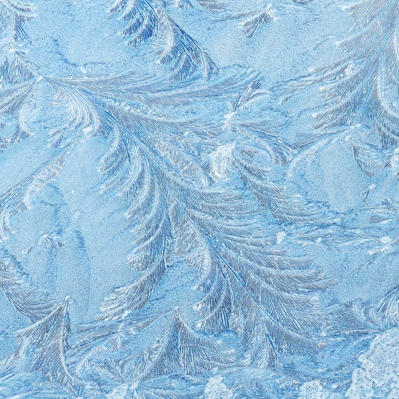Frost Creating Floral Patterns Stock Photo - Image of iced, frosty ...