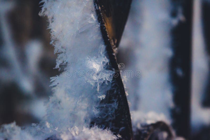Ice frost in the metal stock image. Image of flower - 203558275