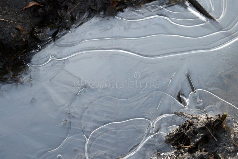 Ice on a Frozen Puddle in Spring Mud Stock Image - Image of outdoor ...