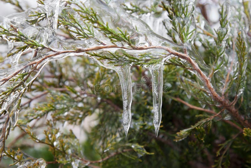 Ice stock photo. Image of beauty, icicle, frost, cold - 37420584