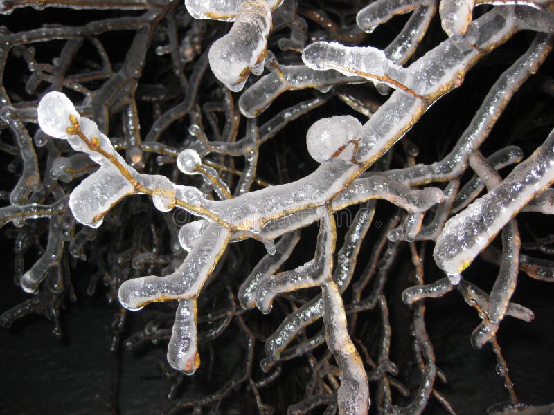 Ice glazing stock image. Image of snow, rain, iceglazed - 139694411