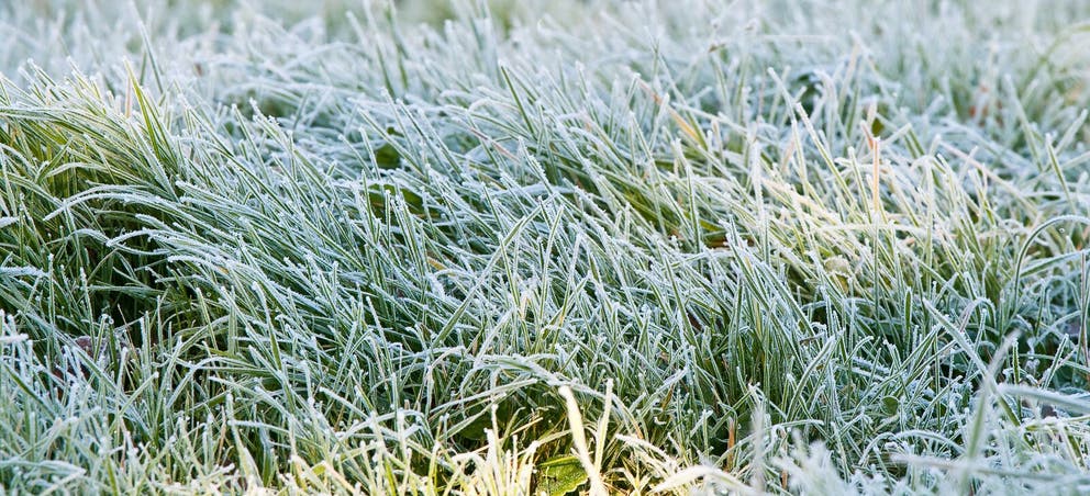 Ice on grass stock image. Image of season, autumn, morning - 12149045