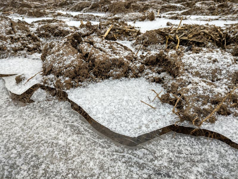 Ice on the Ground in Winter Stock Image - Image of field, macro: 238474473
