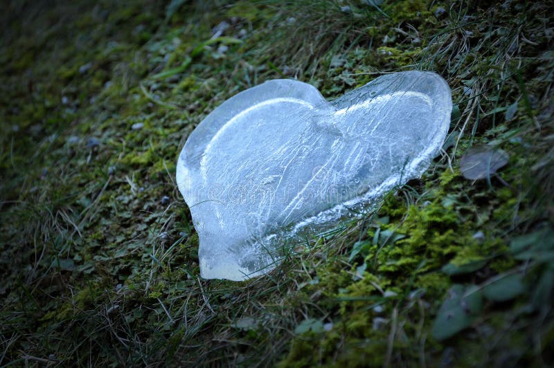 Ice heart, love concept stock photo. Image of frozen - 100557566