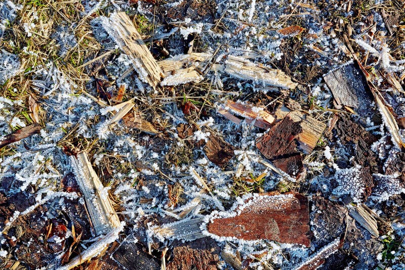 Ice, Hoarfrost, Splinter, Grass on Frozen Ground Stock Photo - Image of ...