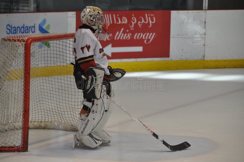 Ice hockey keeper editorial stock image. Image of goal - 28410889