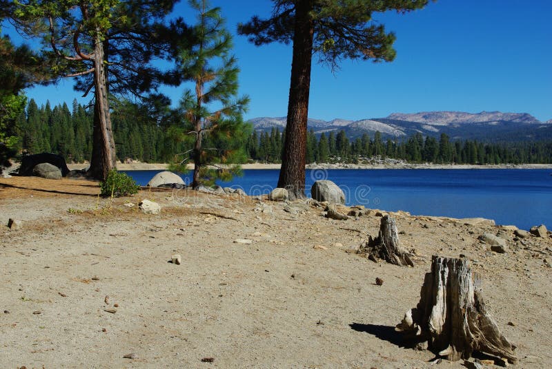 Ice House Reservoir,California Stock Photo - Image of forest, conifer ...