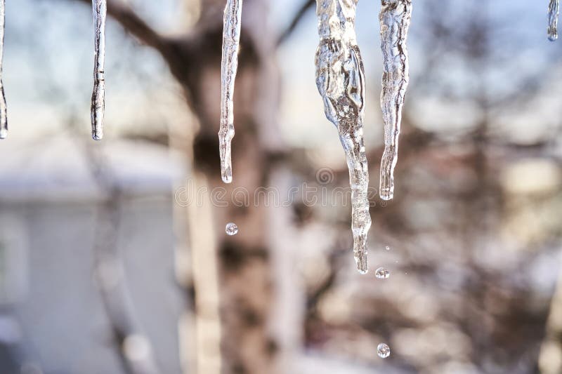 Ice Icicles on the Roof in Winter. Stock Image - Image of shiny, brown ...