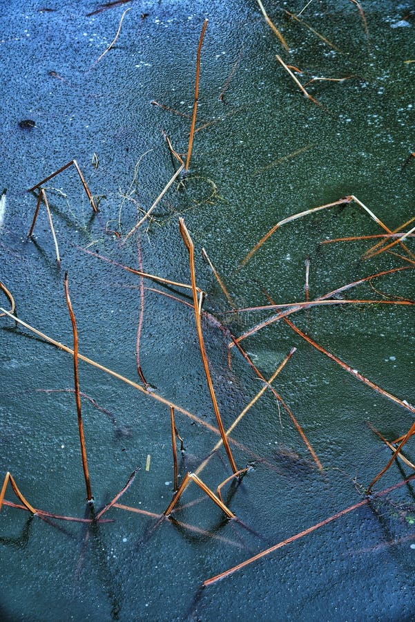 Ice lake stock image. Image of chilly, texture, cold - 315058085