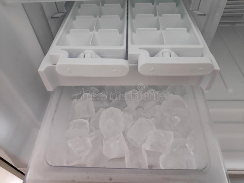 Spongy Growth In Ice Machines