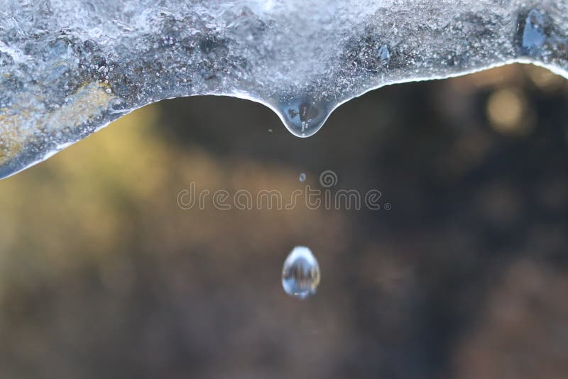 Ice Melting: Balloon-shaped Water Drop Stock Photo - Image of water ...